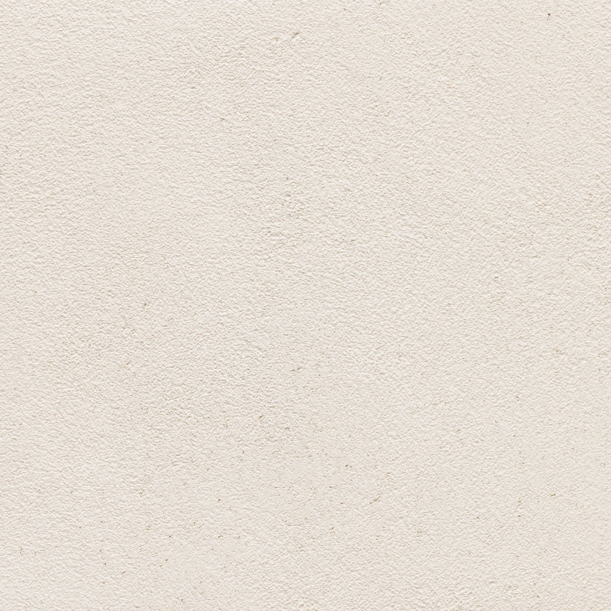 Buff – Earthaus Plaster