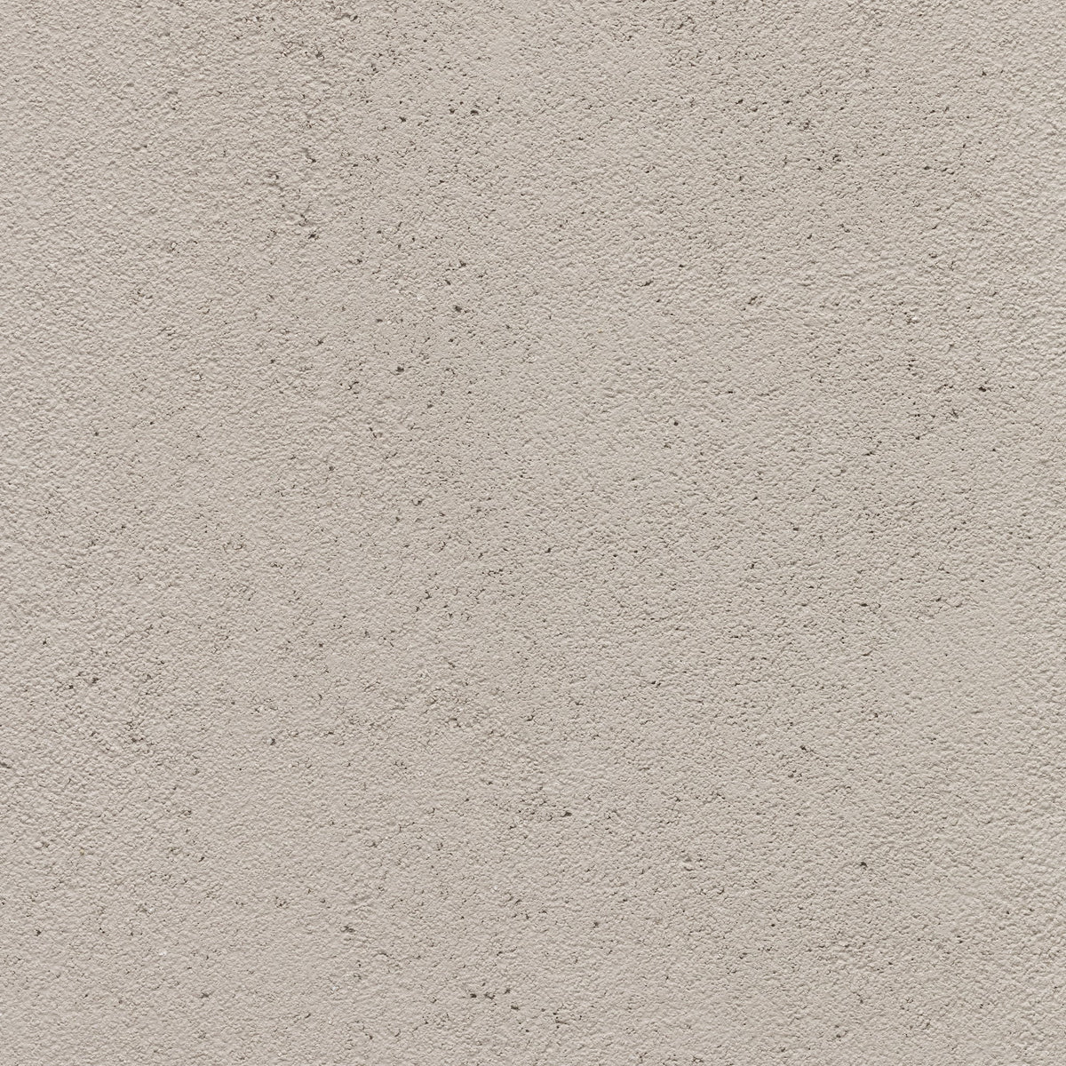 Oyster – Earthaus Plaster