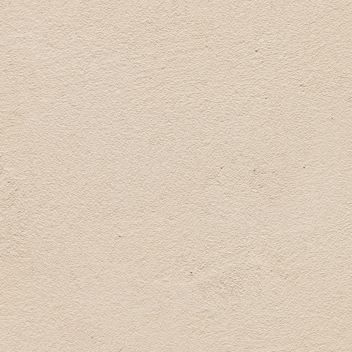 Reed – Earthaus Plaster