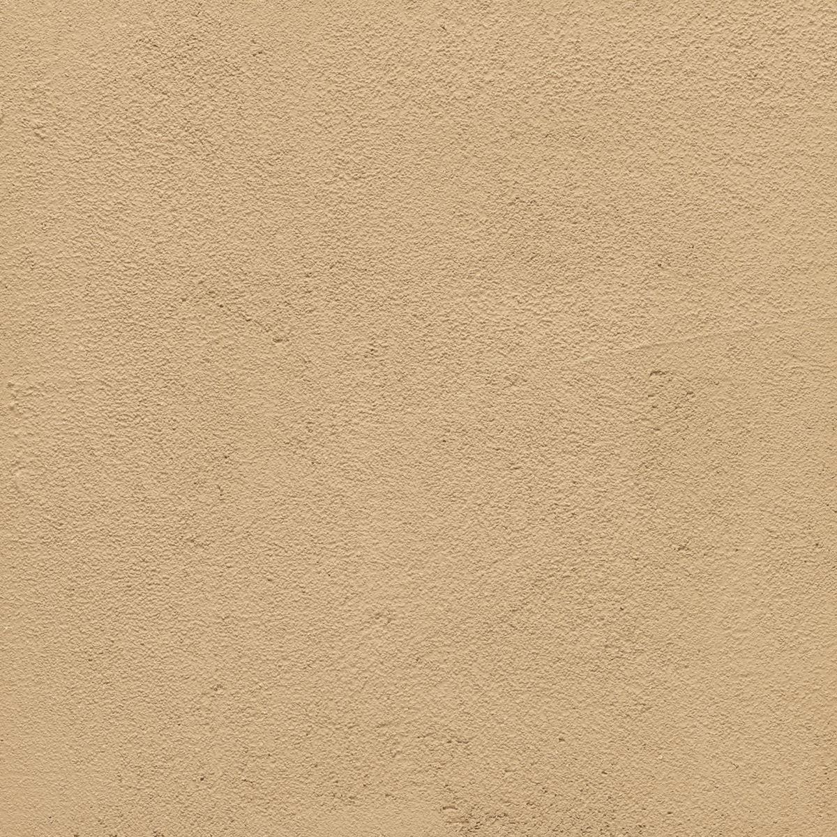 Spelt – Earthaus Plaster